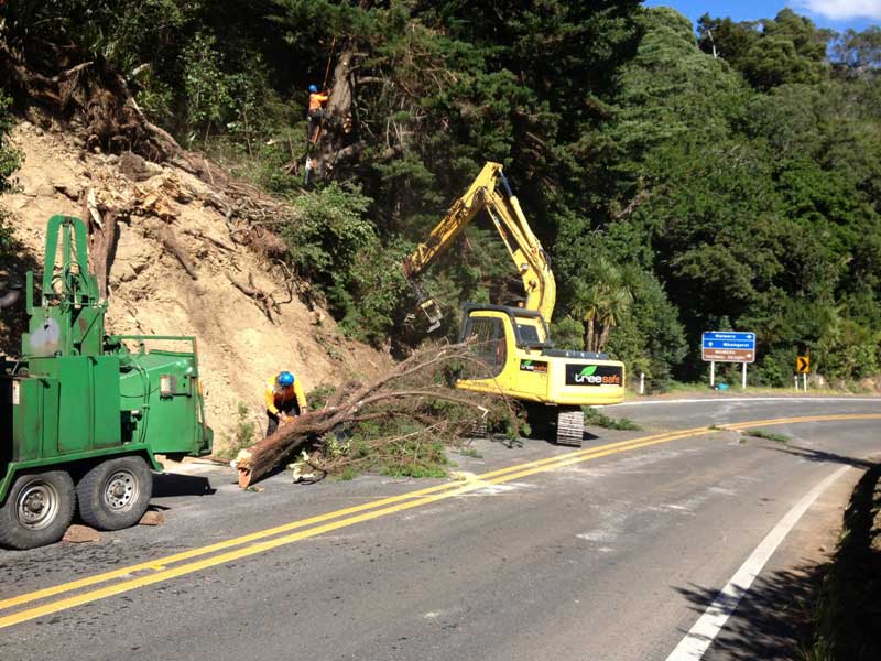 road-clearing | Treesafe Limited