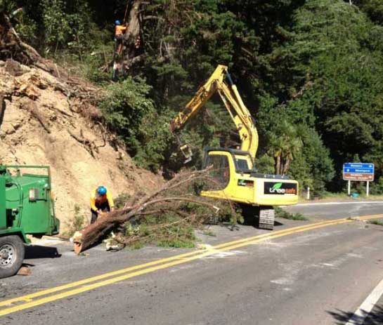 road-clearing-new | Treesafe Limited